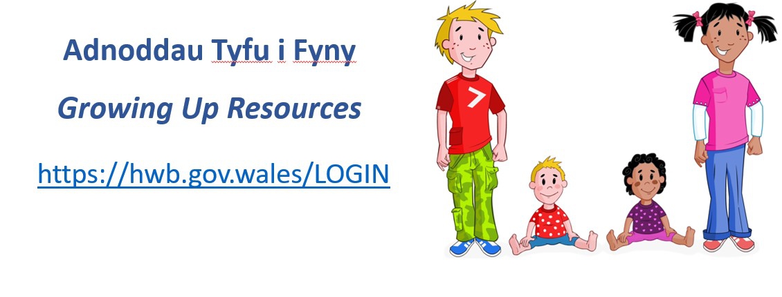 RSE Relationships and Sexuality Education - Golftyn CP School