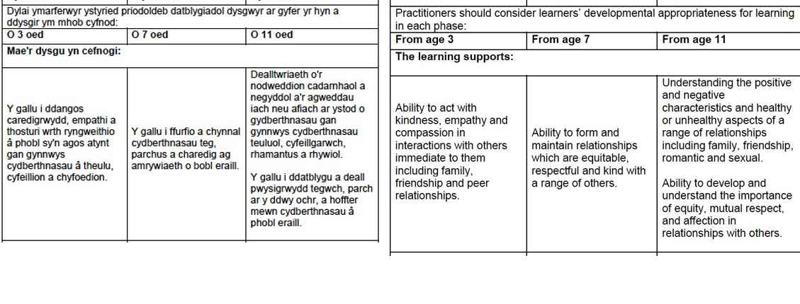 Rse Relationships And Sexuality Education Golftyn Cp School
