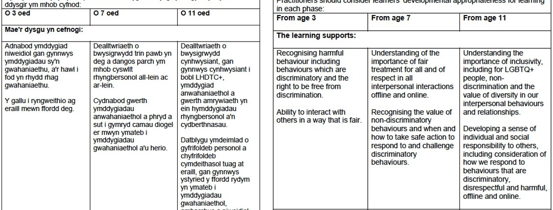RSE Relationships and Sexuality Education - Golftyn CP School
